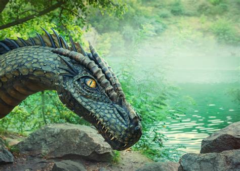 Real Life Dragon