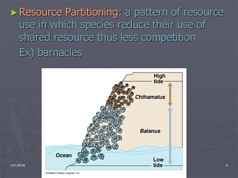 Community Ecology Chapter Ppt Download