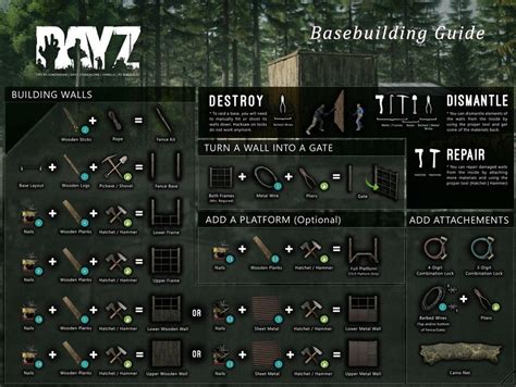 Dayztips Gallery The Collection 110