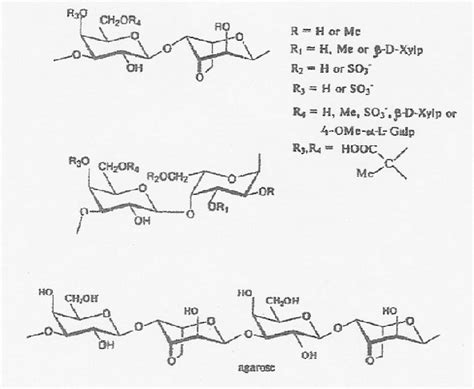 Structural Features Of The Agar Group Of Polysaccharides 1 Download