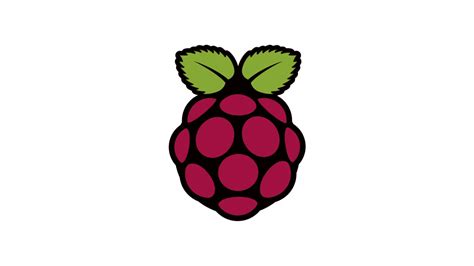 Raspberry Pi Install Phidgets