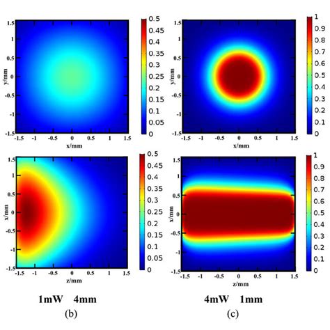 Simulation Results Of The Electronic Spin Polarization Distribution