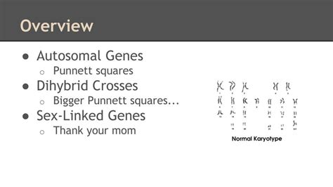 Ppt Simple Genetics Powerpoint Presentation Free Download Id2137773