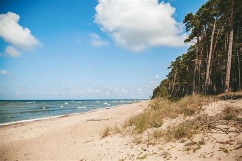 Premium Photo Beach In Klaipeda