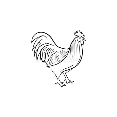 Beautiful Realistic Chicken Rooster In Black Isolated On White
