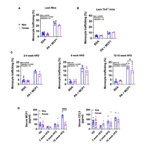 Sex Differences In Migration Efficiency Of Monocytes With Hfd Download Scientific Diagram