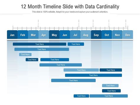 Month Timeline Slide With Data Cardinality Infographic Template Presentation Graphics