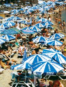 Picture This Lazy Days Of Summer Shutterbug Picture This Lazy Days Of Summer Shutterbug