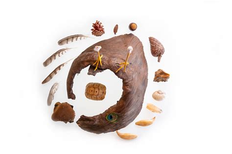 숲과 산에서 발견되는 천연 소재로 만든 창의적인 장식 공예품 0명에 대한 스톡 사진 및 기타 이미지 0명 거북이 거북이 둥지 Istock