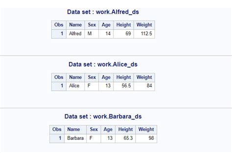Call Execute In Sas With 10 Examples Learn Sas Code