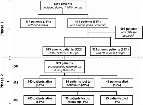Flow Chart Summarizing The Design Of The Study A Who Criteria Anemia
