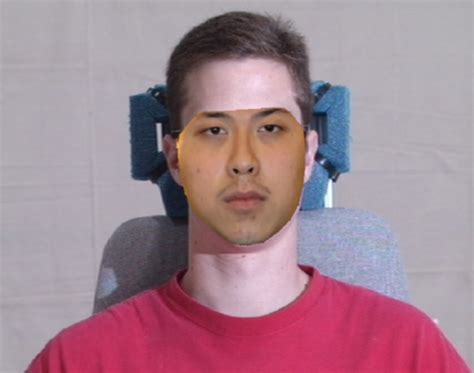 Github Aadeshvarude Faceswap Python Implementation For Face Swapping Using Delaunay