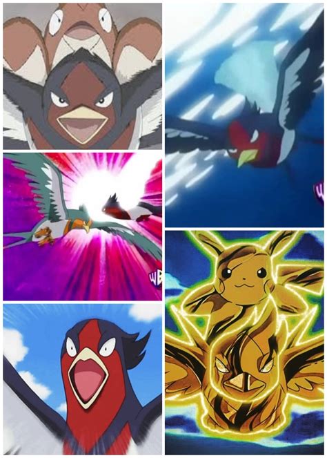 44 Best Swellow Images On Pholder Pokemonanime Shiny Pokemon And Pchaltv