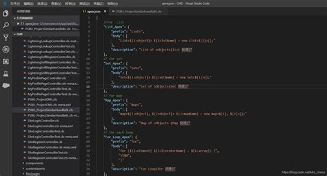 vscode中的apex自定义代码片段！ apex自定义管理员代码 csdn博客