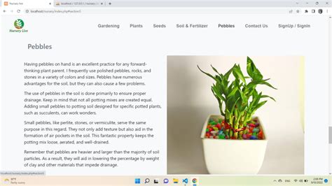 Nursery Planet Ordering System Project In Php With Source Code And