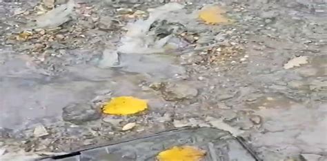 New Forest Green Party Calls For Immediate Action In Latest Sewage