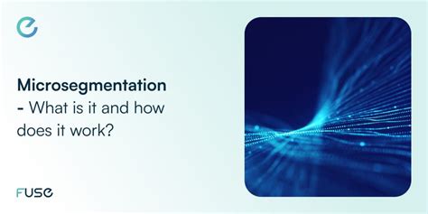 Microsegmentation What Is It And How Does It Work Etag Etag