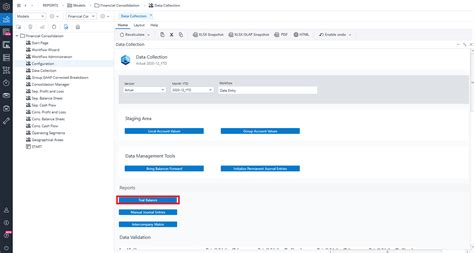 Trial Balance Report