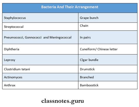 Morphology And Physiology Of Bacteria Question And Answers Class Notes