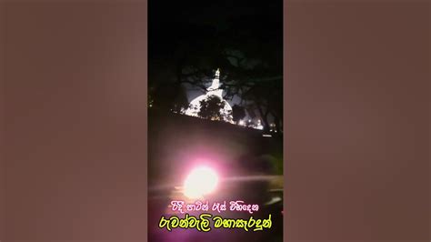 රිදී පාටින් රැස් විහිදෙන රුවන්වැලි මහාසෑරදුන් Shorts Anuradapura Buddhisttemple