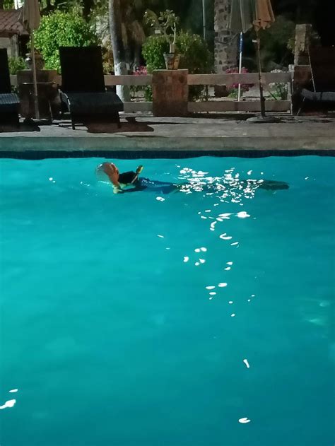 Hotel Serenidad Mulege Baja California Sur Opiniones Y Precios