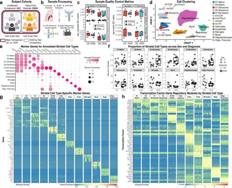 Madelyn Ray On Linkedin Single Nuclei Transcriptomics In Human And Non