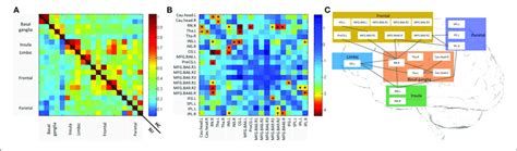 Altered Bg Cortical Functional Connectivities In Sli Patients A