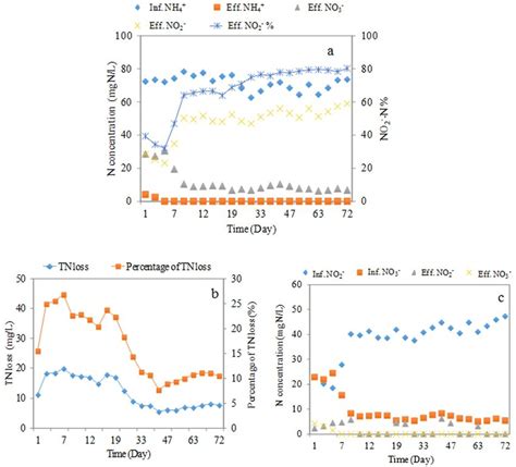 Profiles Of A Nitrification Performance In Nitritation Sbr B Tn Download Scientific
