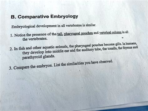 Embryological Similarities