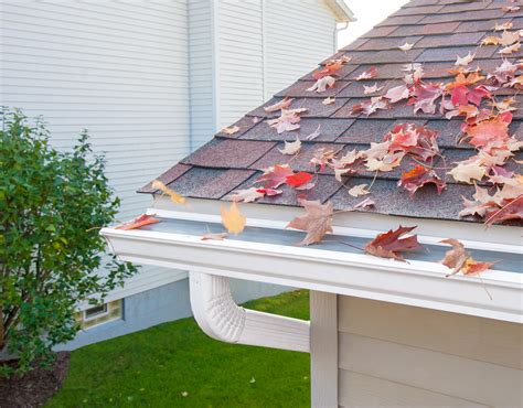 LeafFilter An American Success Story Business View Magazine