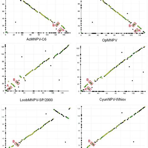 Gene Parity Plots Comparing The Orf Content And Order Of Pastnpv 473