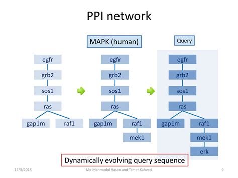 Incremental Network Querying In Biological Networks Ppt Download