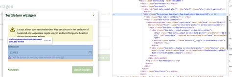 Date Picker Rode Border Ontbreekt Op Input Van Een Invalid Date Picker · Issue 2040 · Dso