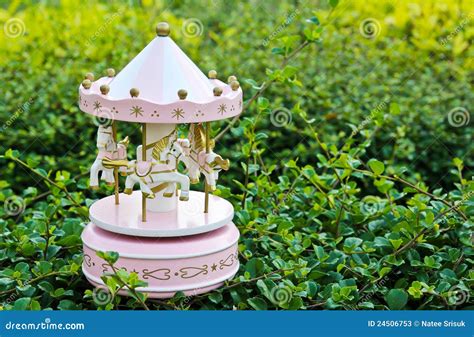 Carousel Toy Stock Image Image Of Movement Natural 24506753