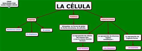 La CÉlula Agrupaciones Formas Partes