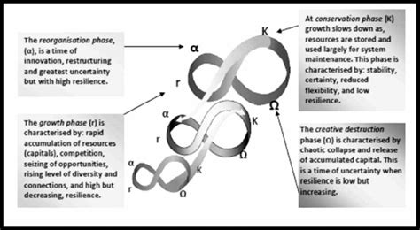 The Panarchy Model Of Adaptive Cycle Source Davoudi Et Al Download Scientific Diagram