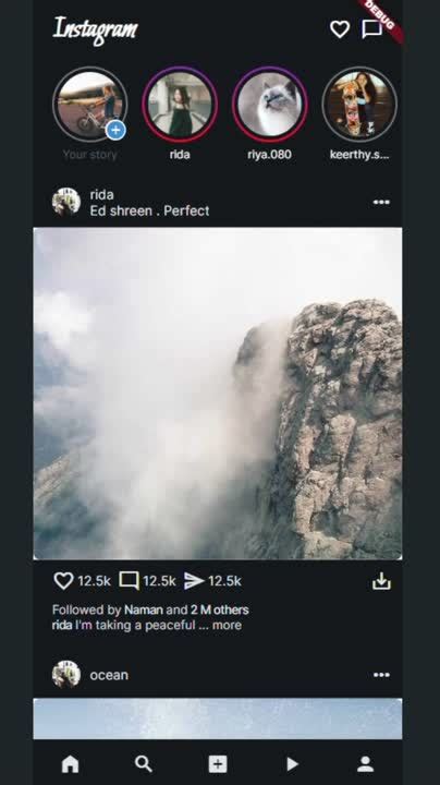 vaishnavi chalwadi on linkedin flutterflow nocode appdevelopment instagramclone