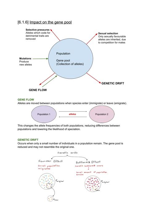 Hsc Biology Module 6 Notes Biology Year 12 Hsc Thinkswap