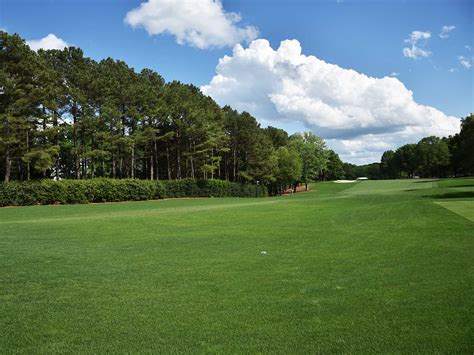 Sunrye™ Perennial Ryegrass Atlas Turf International