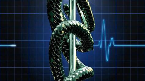 Caduceus Stock Video Footage For Free Download