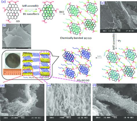A Synthesis Scheme Depicting The Self Assembly Of Bc Nanofibers On Go