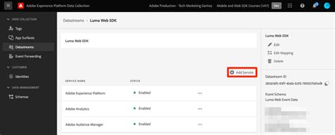 set up adobe target with platform web sdk adobe data collection
