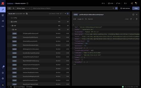 👨‍💻 raphael de lio on linkedin redis realtimedata redis8 bluesky