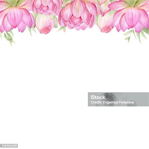 핑크 꽃 연꽃입니다 수채화 그림입니다 연꽃 프레임입니다 중국 수련의 화환입니다 초대장 디자인 날짜 저장 카드 기타 항목 0명에 대한 스톡 벡터 아트 및 기타 이미지 Istock