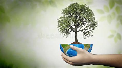 Tree Sustainability 3d Stock Illustrations 3110 Tree Sustainability