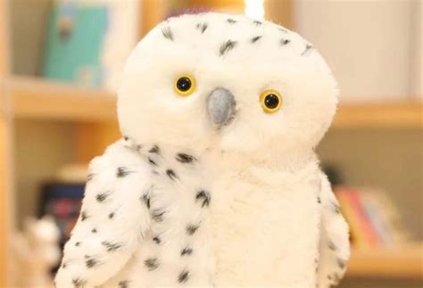 Создать мем полярная сова гарри поттера букля сова плюшевая игрушка плюшевая белая сова