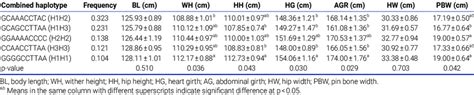 Associations Of Combined Haplotype With Body Conformation Traits In