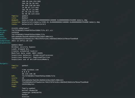 malware analysis qakbot分析 jnz