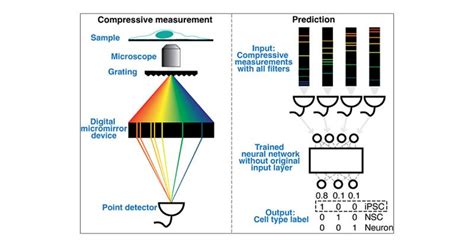 Stefan Semrau On Linkedin Neural Network Based Filter Design For Compressive Raman