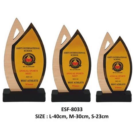 Size 10 15 Inch Double Layer Wooden Trophy At Rs 230 In New Delhi Id